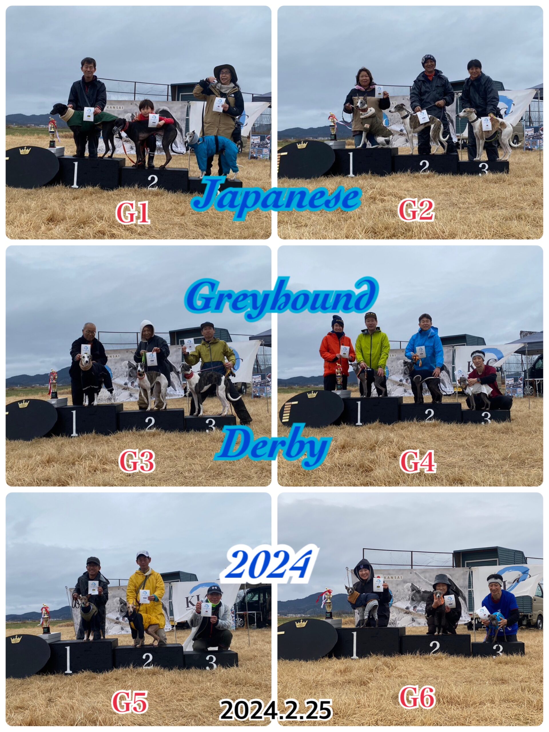 Japanese Greyhound Derby 2024お疲れ様でした！ | KLCC｜Kansai Lure Coursing Club